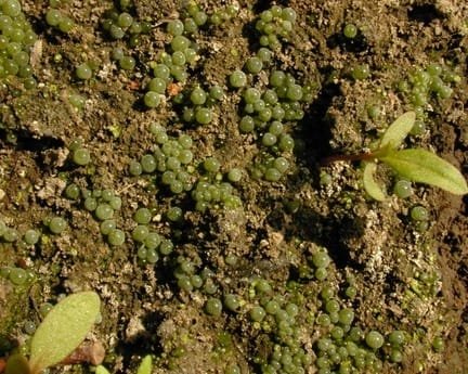 Vauqueridas – Educación para la vida